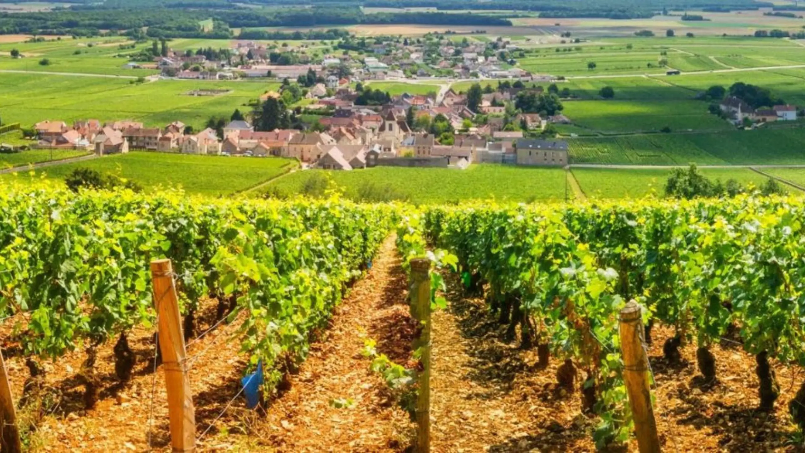 Kom forbi vores shoppingcenter i Valby - Spinderiet